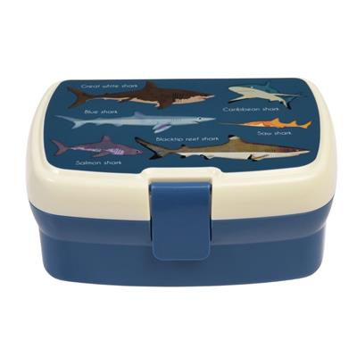 Bento Boxes | Lunch Boxes from Lime Tree Kids